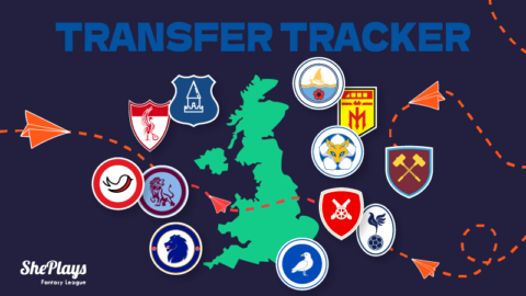 WSL Transfers - ShePlays Stories